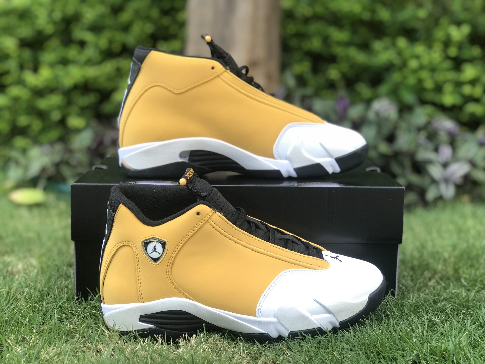 Air Jordan 14 Ginger 487471‑701 - Classic Jordans
